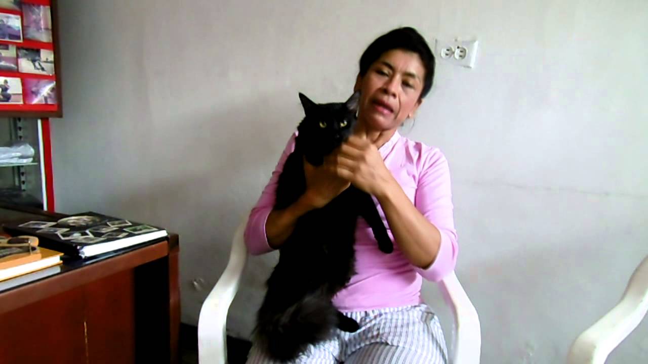 NOHEMÍ, LA AMIGA DE LOS ANIMALES - YouTube