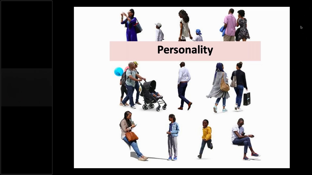 H3Africa: Proffesional Development Work Shop IDP &Networking ...