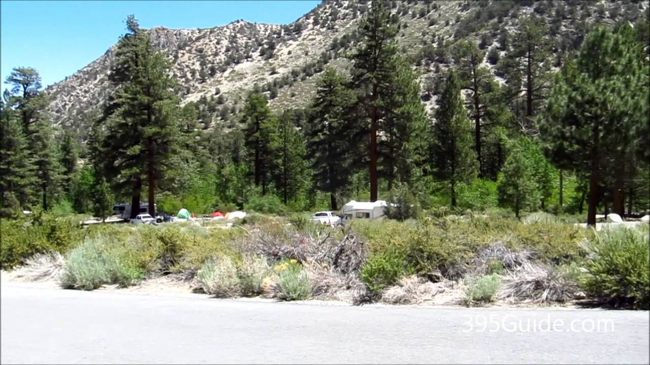Big Trees Campground near Bishop, California - YouTube