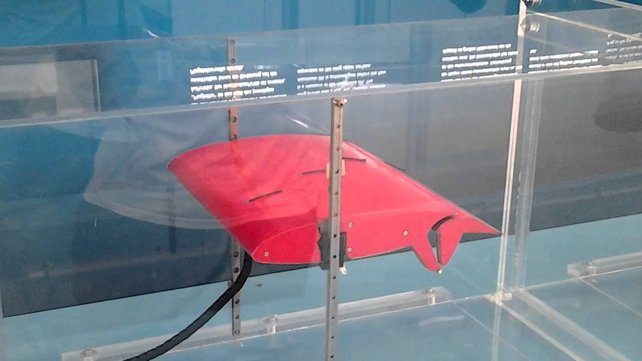 How Flaps creating Extra Lift - YouTube