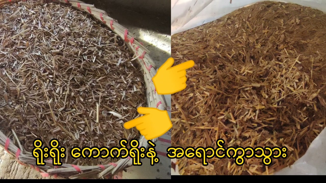 အိတ်ဖြင့်သက်သက် သိပ်ထားသောကောက်ရိုးချဉ်ဖတ် နွားစာဖတ် နွားစာ