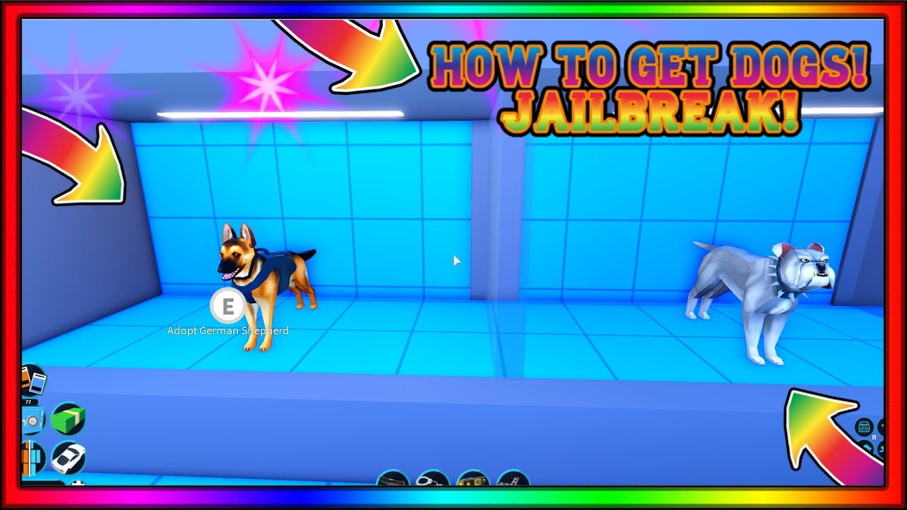 How To Get Dogs In Roblox Jailbreak *GERMAN SHEPERD,BULLDOG*.. - YouTube