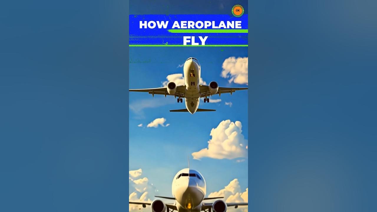 How aeroplane fly | how aeroplane works | how aeroplane fly 3d ...