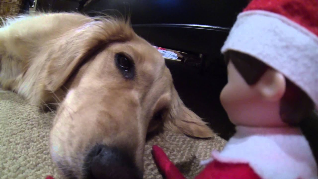 Elf on the Shelf caught on camera - YouTube
