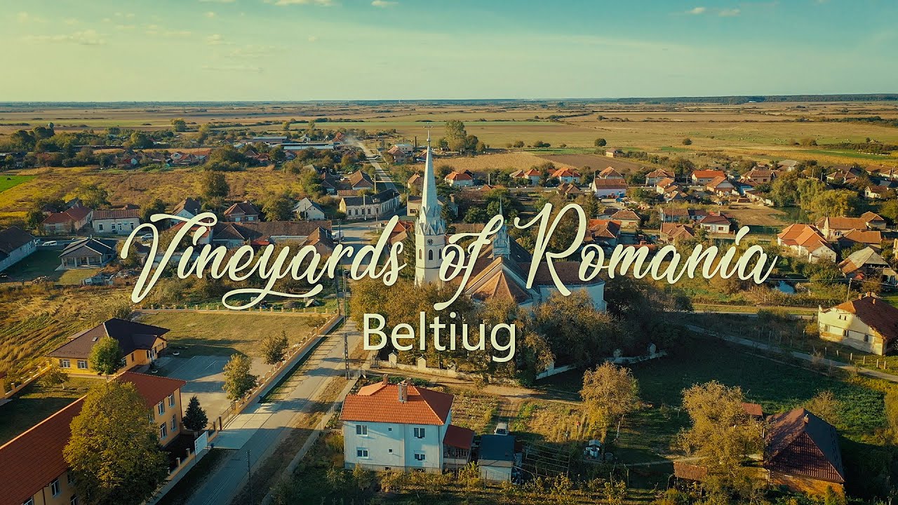Vineyards of Romania - Beltiug - YouTube