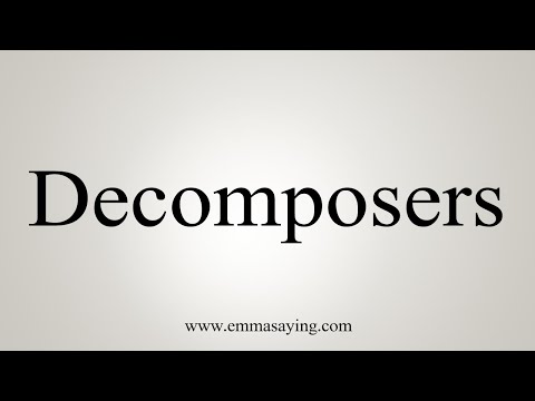 What are 5 examples of a decomposer?