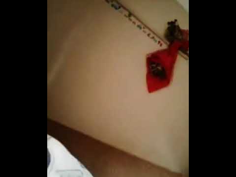 Benim moralim sıfır 😂