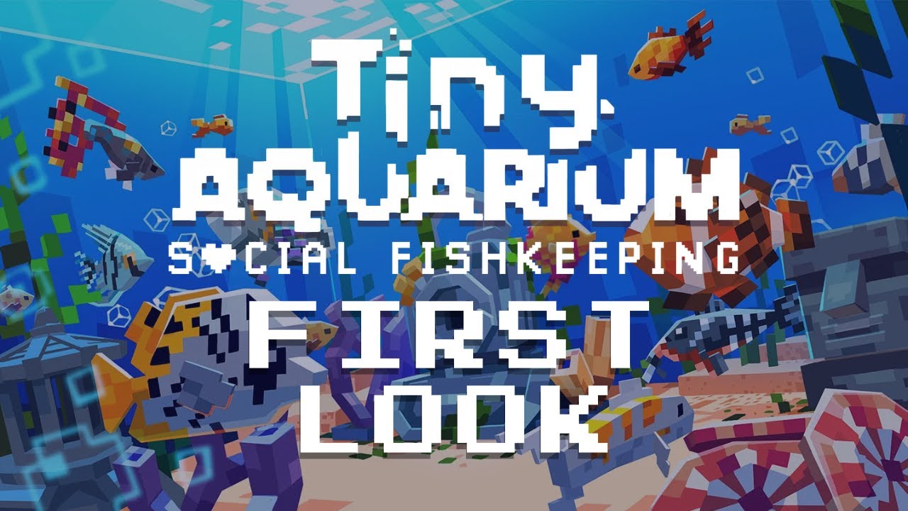 Tiny Aquarium First Look - Relaxing Social Fishing Game - YouTube