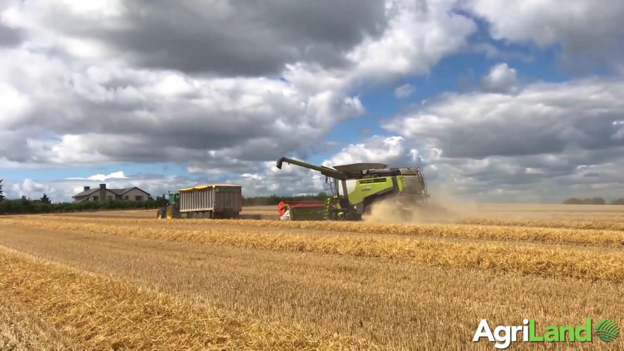 Nolan Farming harvesting winter wheat - YouTube