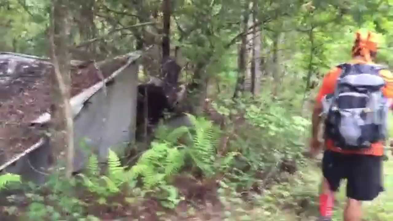 Exploring in The Green Swamp (Abandoned Homestead Site) - YouTube