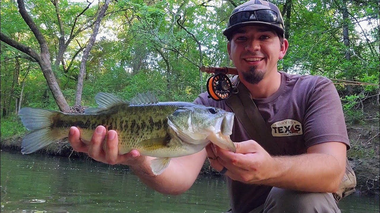 Texas Creek Fly Fishing for Bass - YouTube