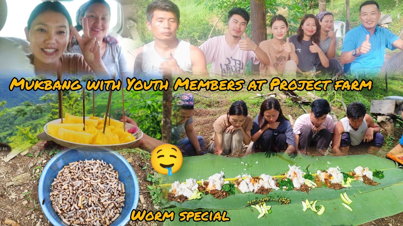 Vlogging with Ladies at Jungle collecting wood worm for Mukbang. - YouTube