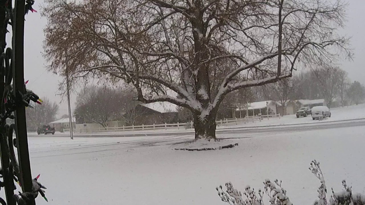 November 26th 2019 Blizzard - YouTube