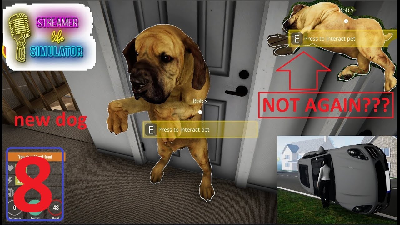 New dog - Streamer Life Simulator - YouTube