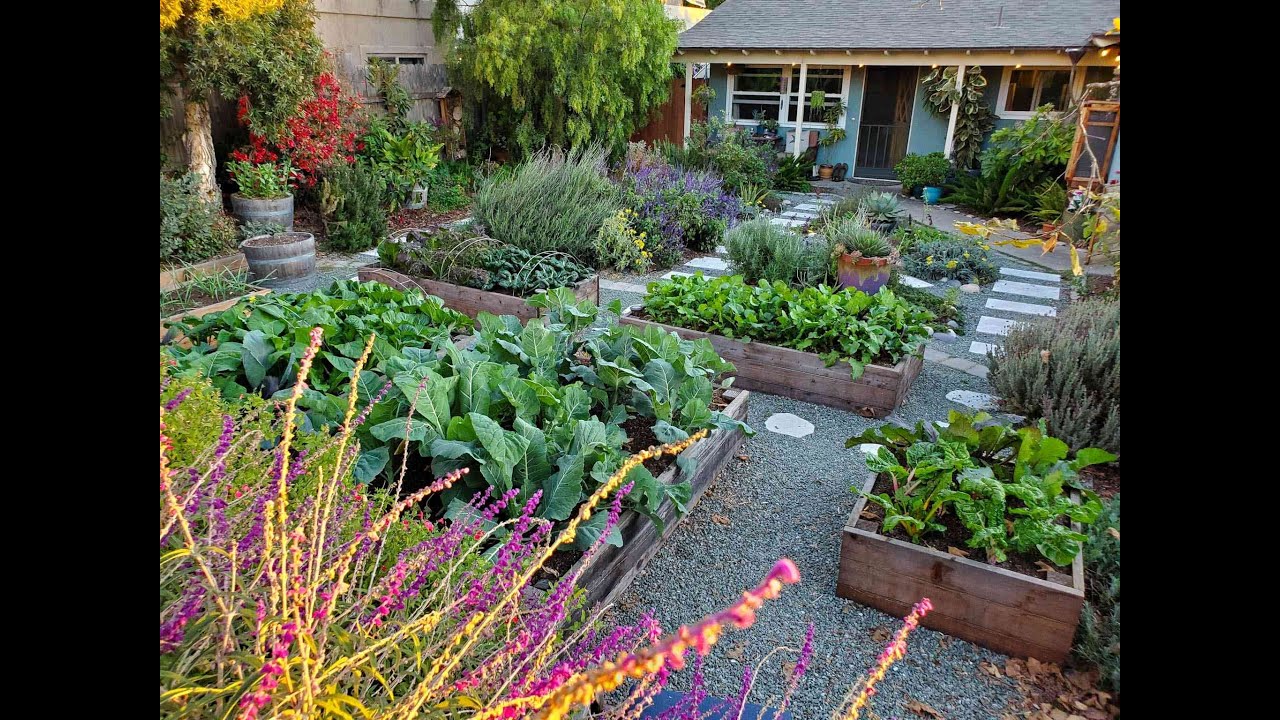 Full Homestead and Chill Tour - Spring 2020 - YouTube