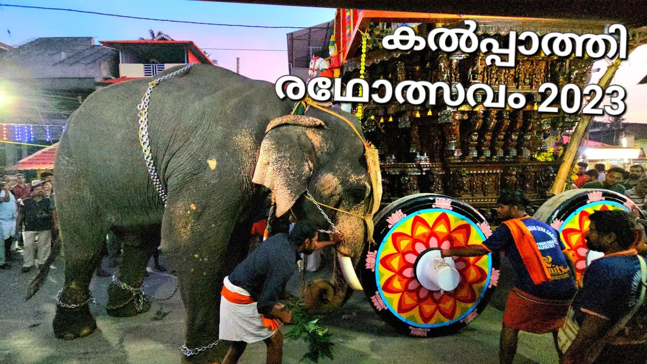 KALPATHI RATHOLSAVAM 2023/ കൽപ്പാത്തി രഥോത്സവം #kalpathy palakkad - YouTube