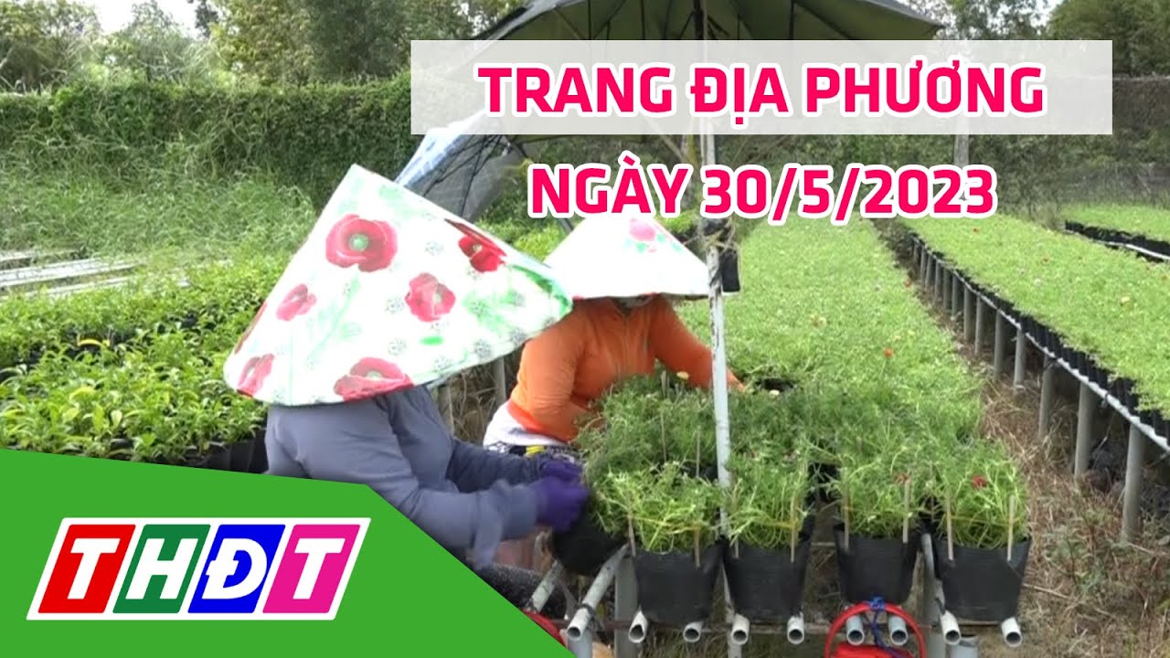 Trang địa phương | 30/5/2023 | TP.Sa Đéc - Điểm sáng xóa trắng hộ nghèo ở ấp Tân Lợi | THDT ...