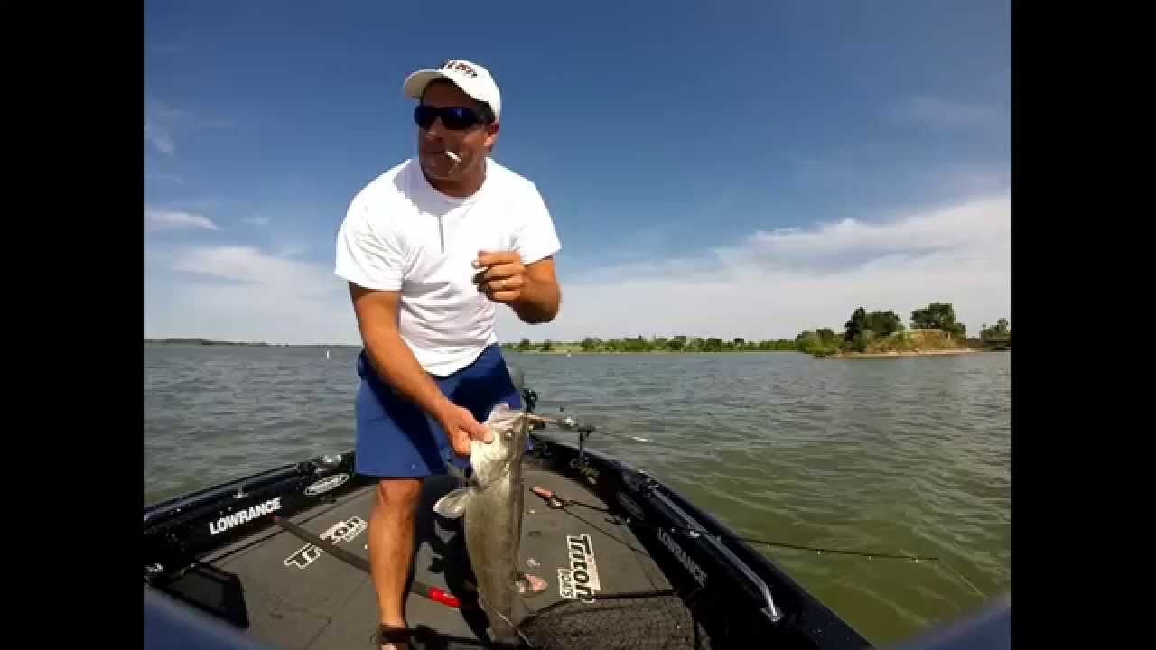 Kansas Walleye & Wipers with Hook'Em Guide Service - YouTube