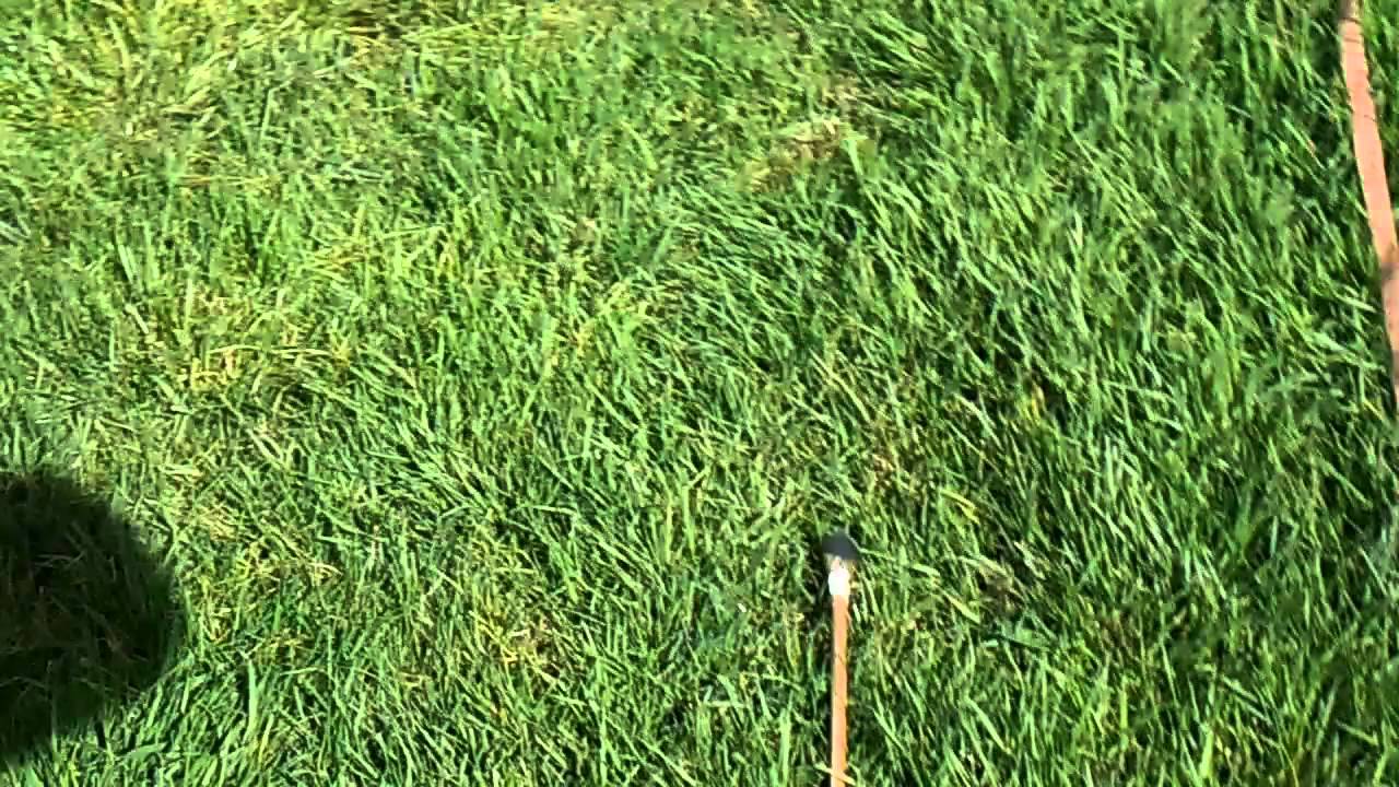 SCA combat archery flight test 1 - YouTube