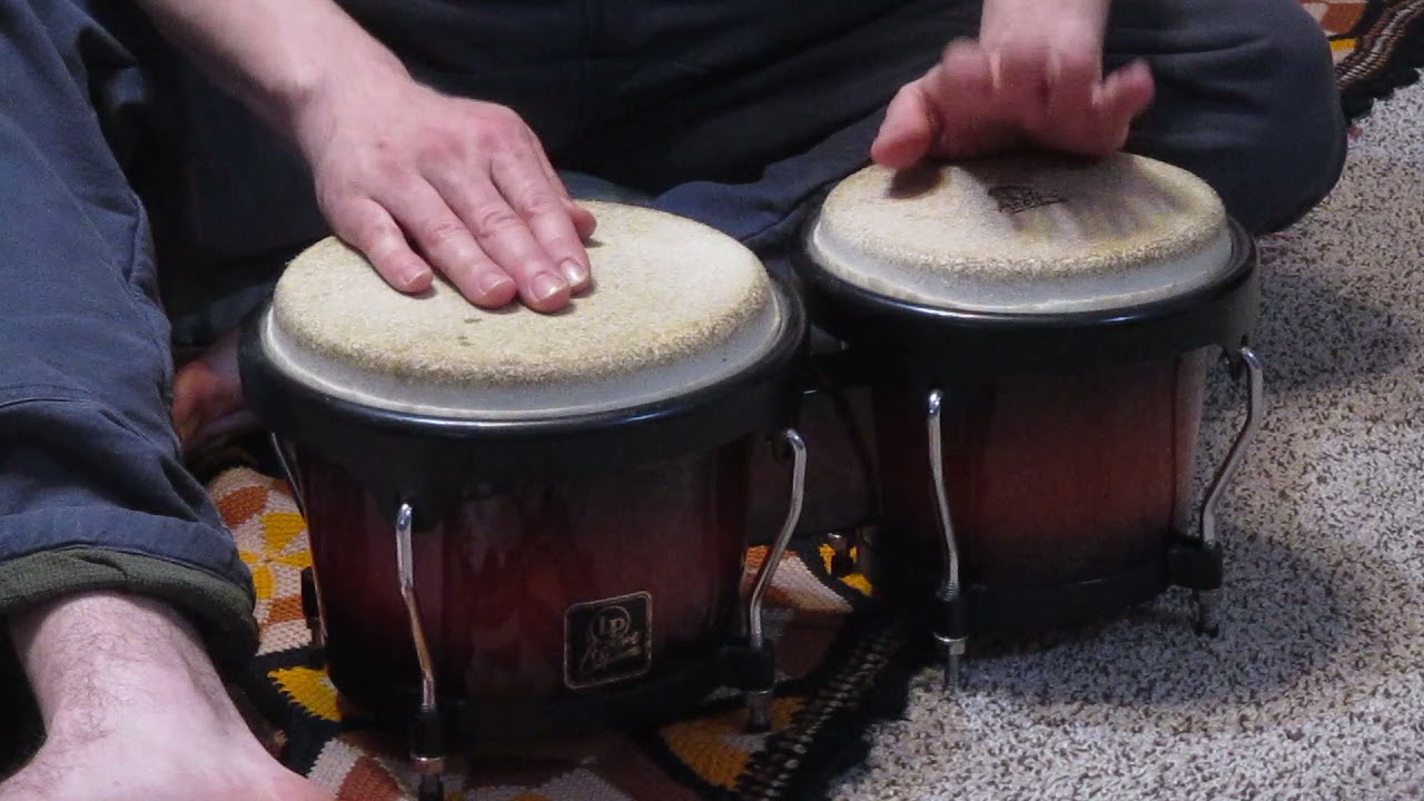 bongo, Rumba Guan-Guanco - YouTube