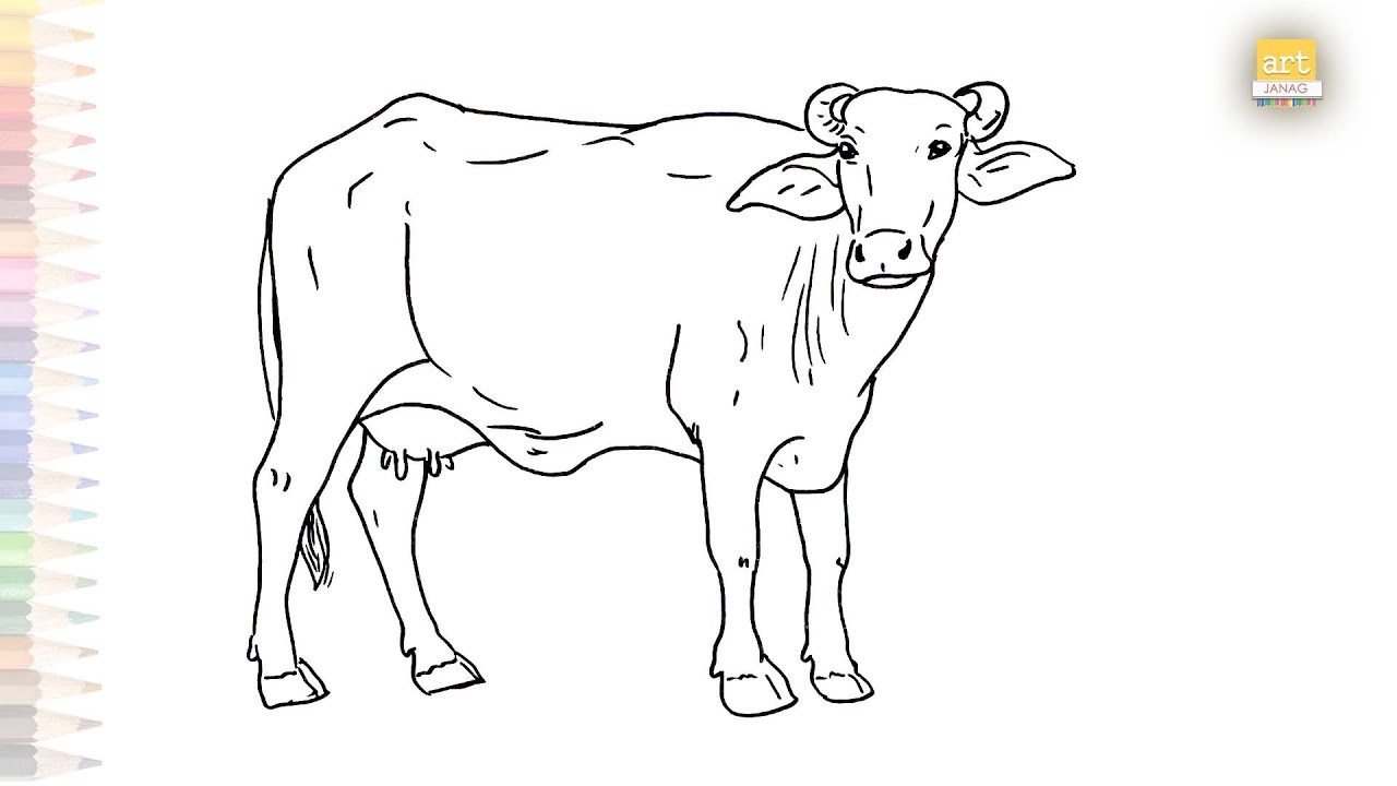Buffalo easy outline sketch | Dibujos de búfalos | How to draw A ...