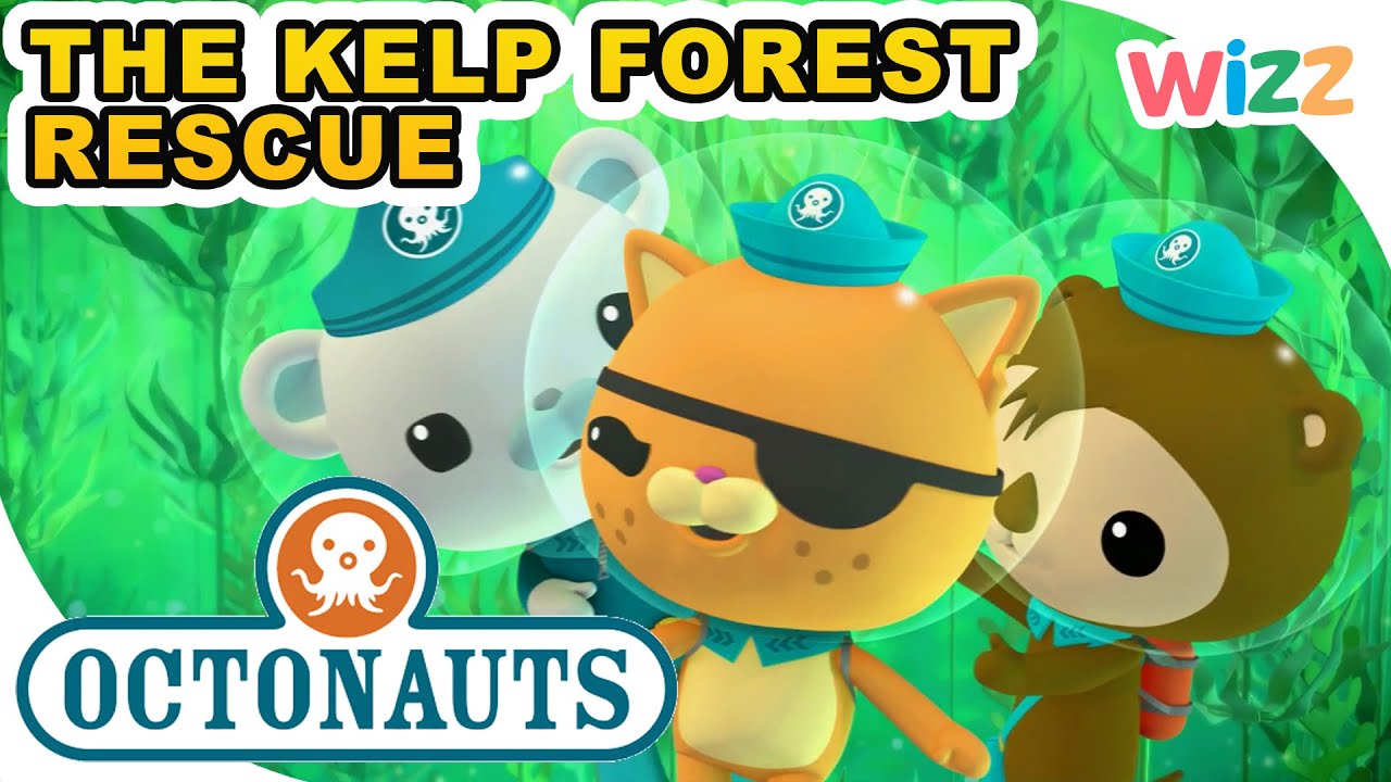 @Octonauts - The Kelp Forest Rescue 🍃⛑️ | Season 1 | Full Episodes ...