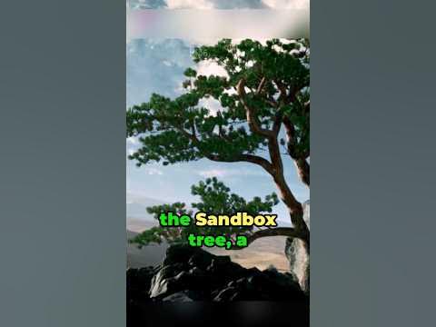 Explosive Sandbox Tree: Nature's Dynamite 🧨 - YouTube