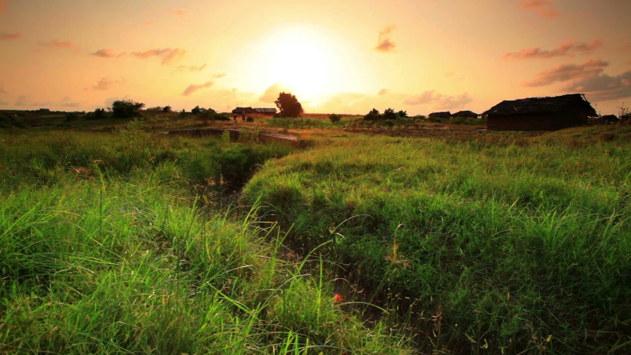 Green Field with A Dried Up Ravine - Stock Video - Cool Free - YouTube