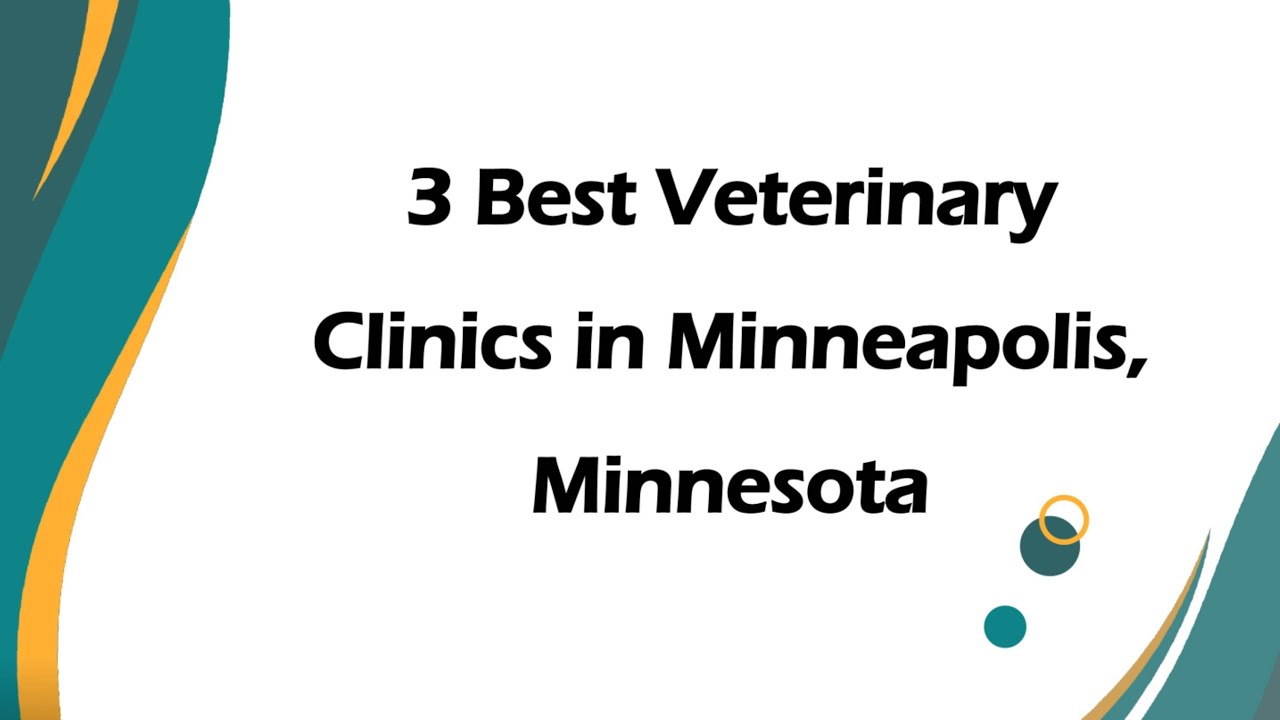 3 Best Veterinary Clinics in Minneapolis, Minnesota | Animal Hospitals ...