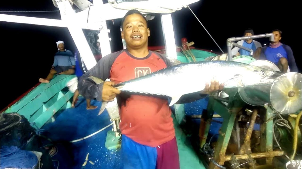 Strike Terus Ikan Tenggiri Nelayan Ini Sampai Pingsan di Tengah Laut ...