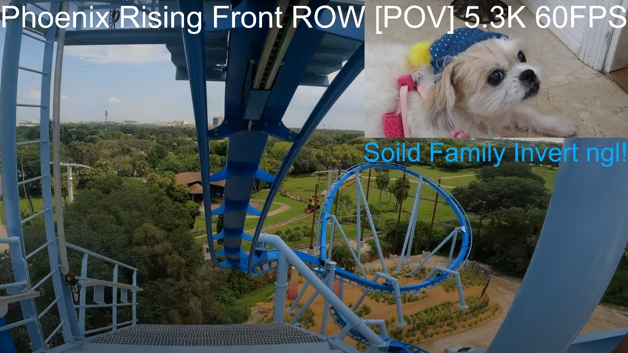 New for 2024 Phoenix Rising Front Row POV 5.3k 60fps morning ride Bush ...