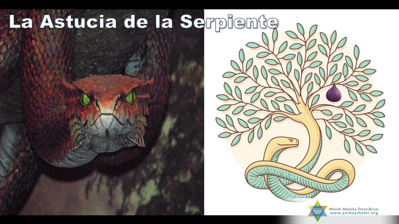 Estudios Bíblicos, Génesis Clase 14: La Astucia de la Serpiente - YouTube