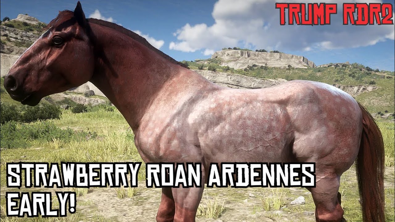 Free Strawberry Roan Ardennes in Chapter 2! - YouTube