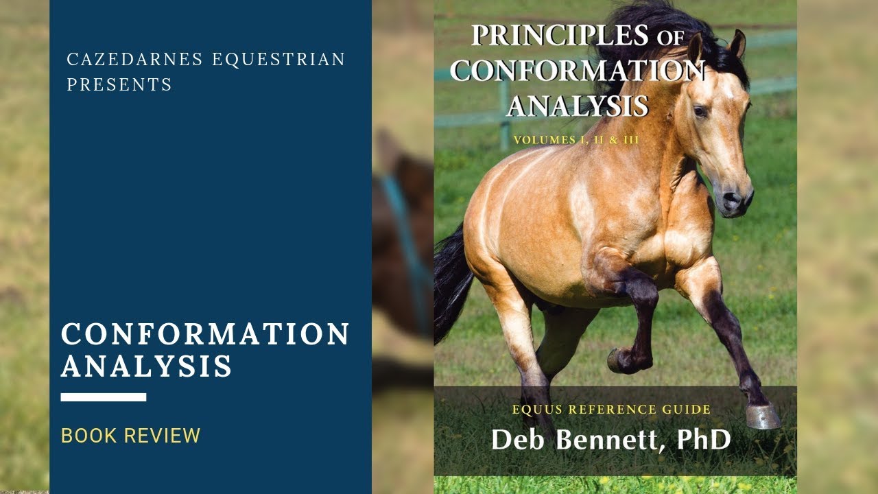 Conformation Analysis Book Review - YouTube