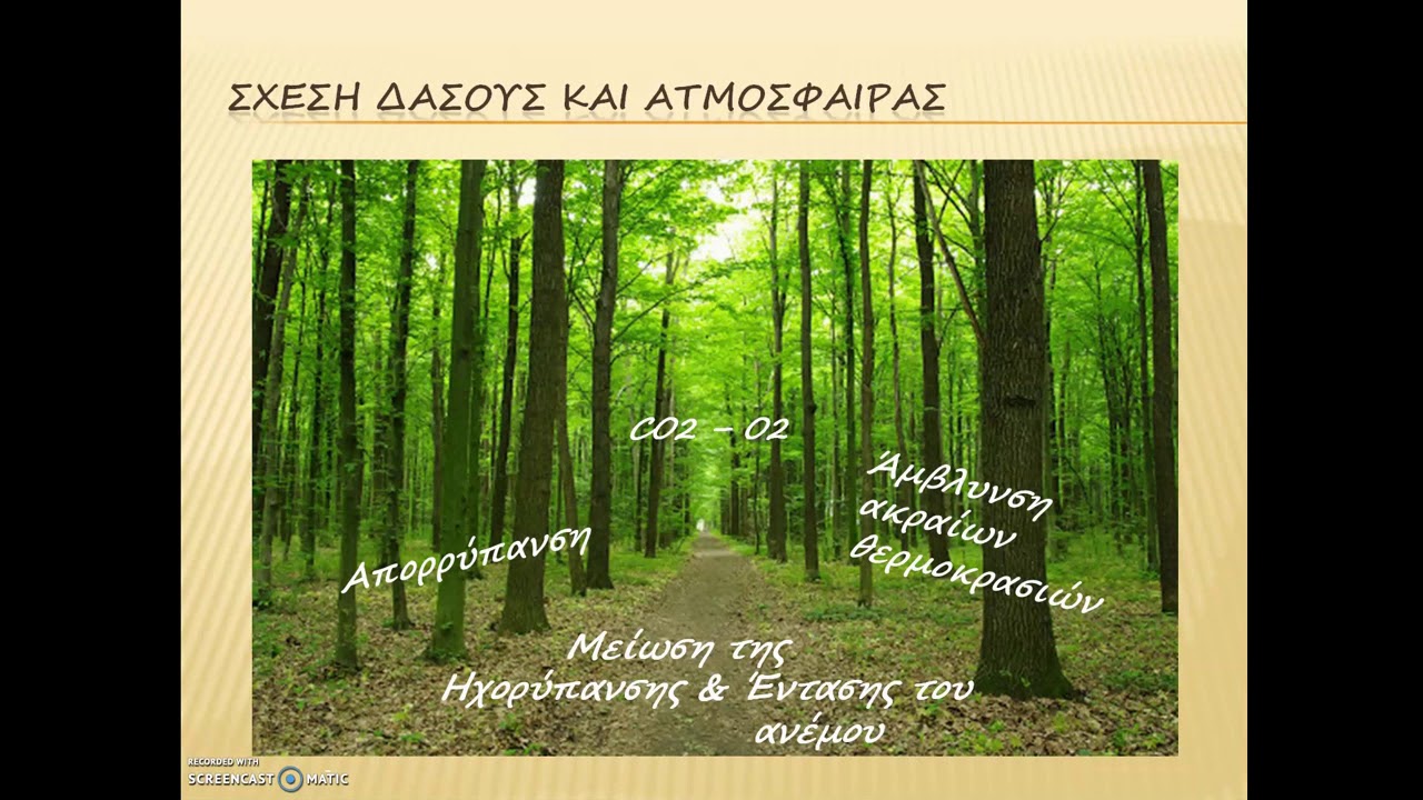 Το δασικό οικοσύστημα και οι λειτουργίες του - YouTube