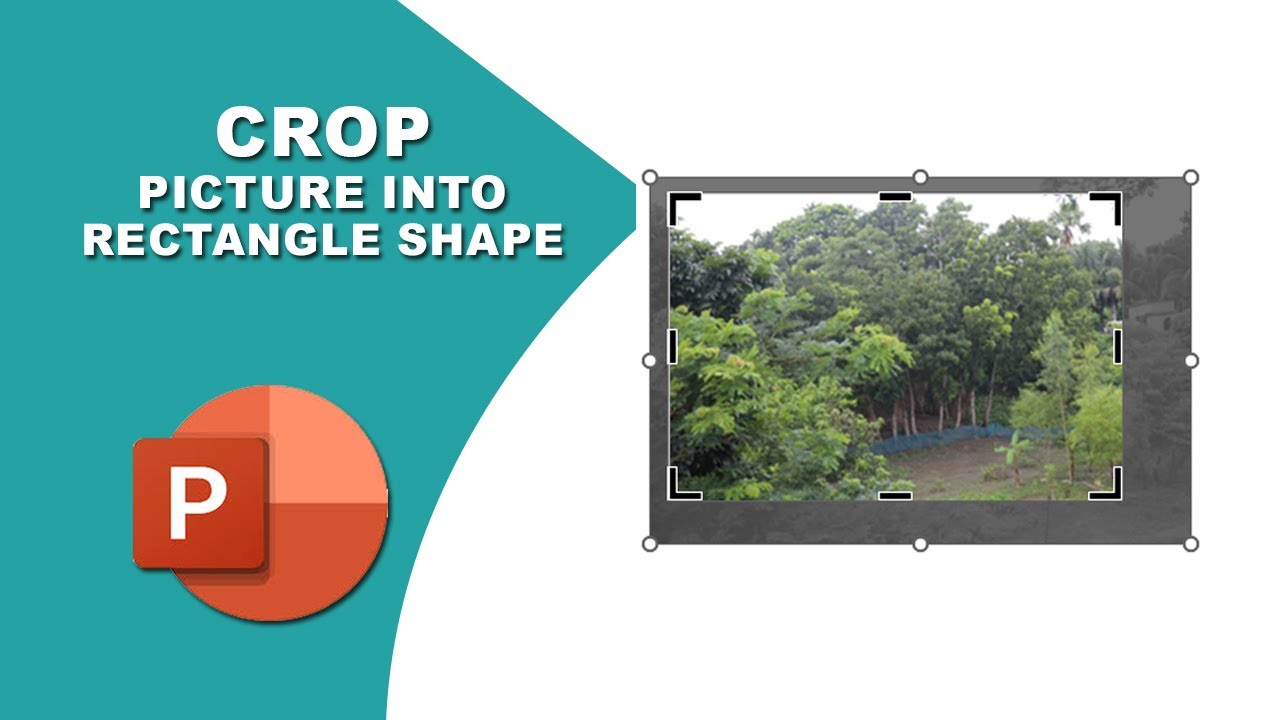 How to crop picture into rectangle shape in PowerPoint - YouTube