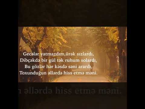 “Axtarma məni“  ( şeir 2019 ) / Shakir Zade /