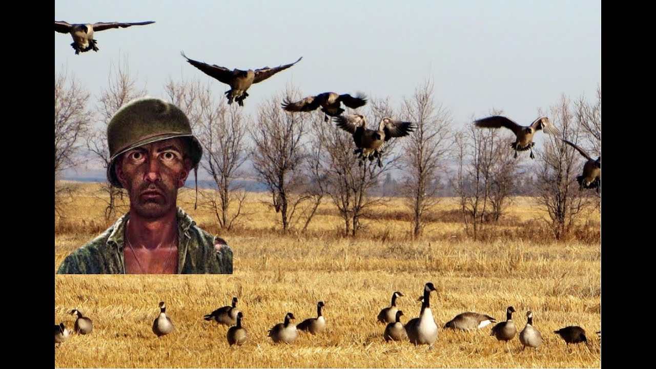 Colorado Goose Hunting in a Nutshell - YouTube