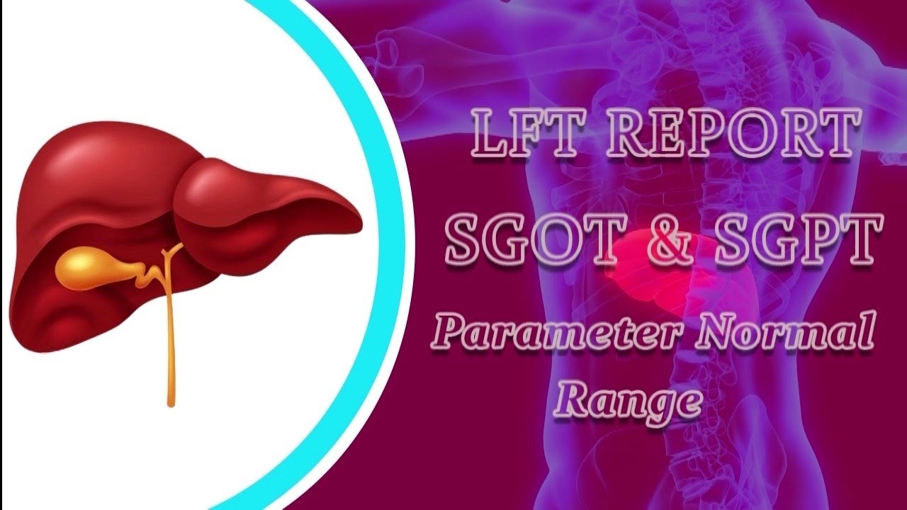 SGOT Blood Test | SGPT Blood Test | ALT | AST | SGOT & SGPT Test Normal ...