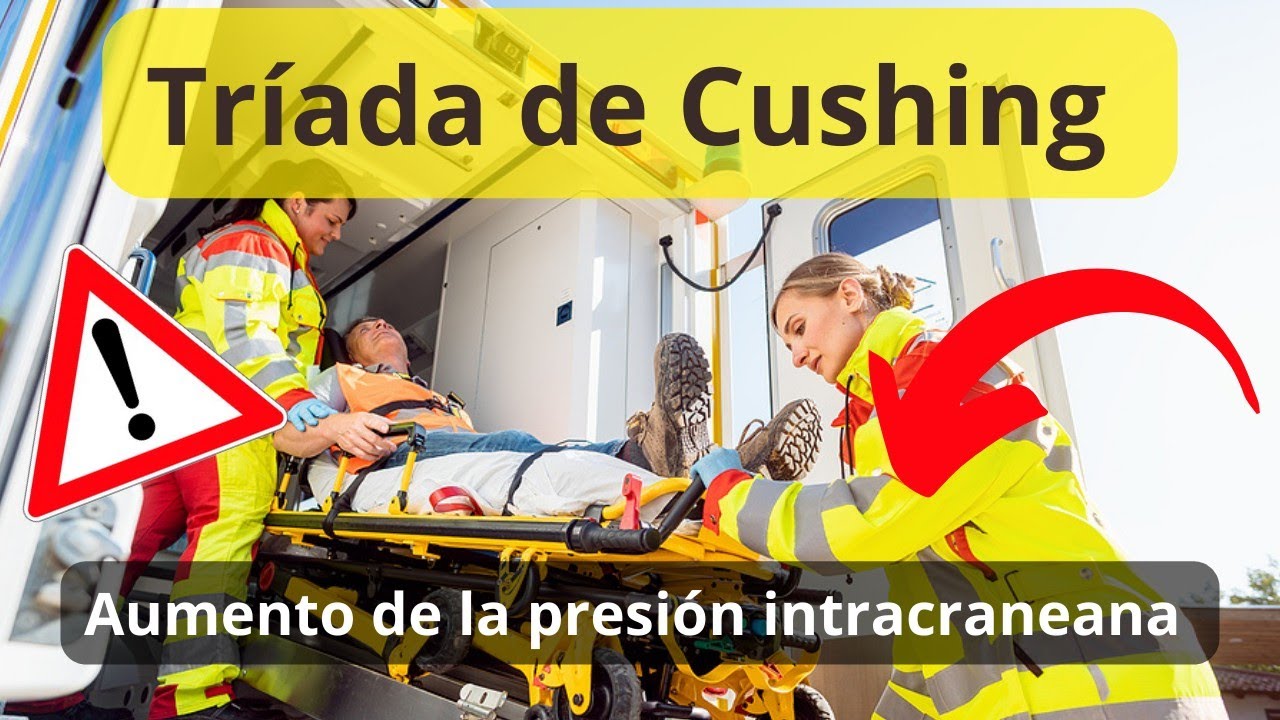 Triada de Cushing | Hipertensión intracraneana | Primeros auxilios ...