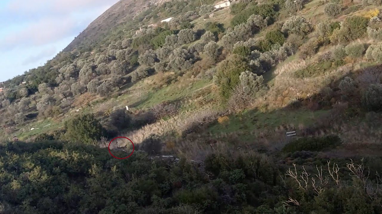Κυνηγι λαγου 2023 κι ωμός έφυγε ατουφεκιστος 4Κ - YouTube