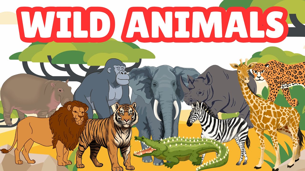 LEARN WILD ANIMALS FOR TODDLERS & KIDS | English Vocabulary for Kids ...