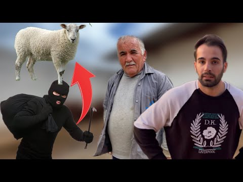 KOMŞUMUN KEÇİLERİ ÇALINMIŞ ! Sonuca ŞOK Olacaksınız !