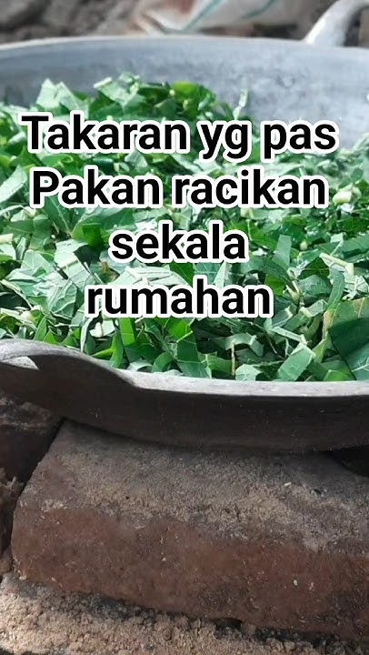 racikan pakan ayam sekala rumahan takanran pas #ayam #pakanayam #trending #fyp #cara #contoh # ...