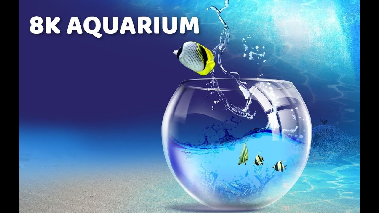 8K AQUARIUM - YouTube
