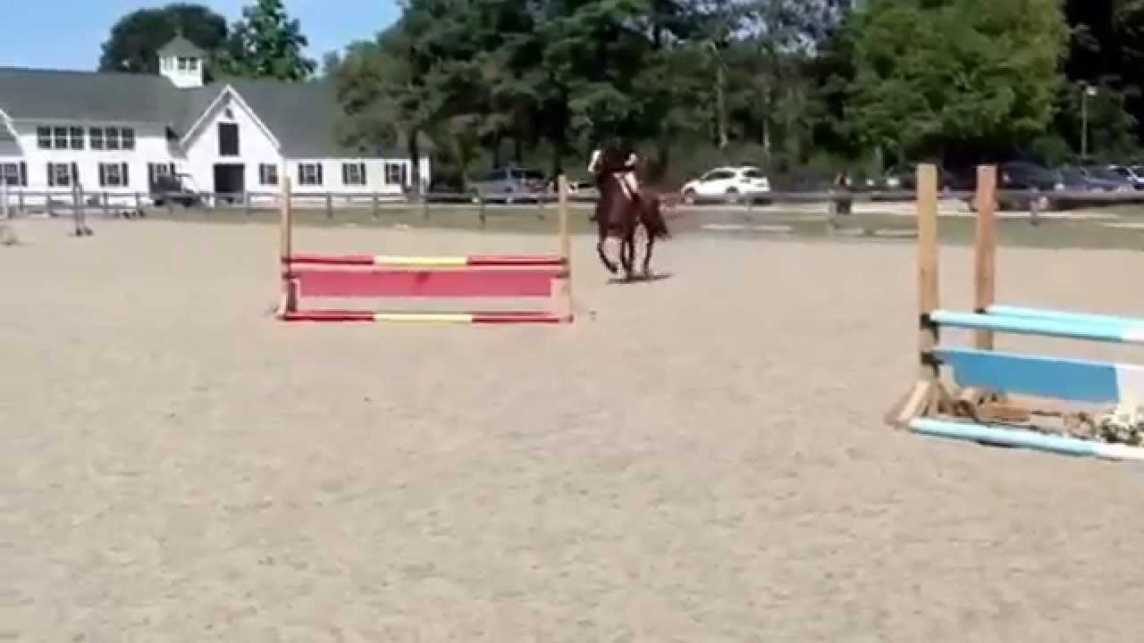 Small jump course with Alley :) - YouTube