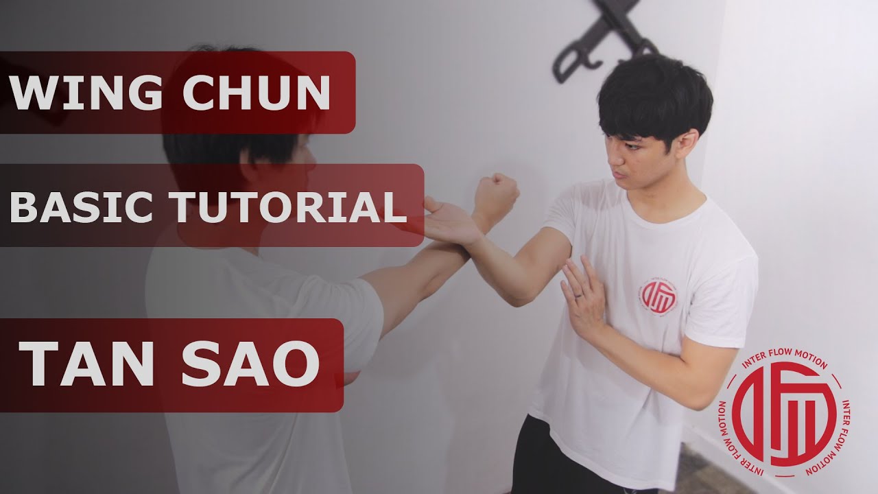 Tutorial Wing Chun Tan Sao untuk Pemula | Ving Tsun Tan Sau Tutorial ...