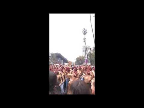 protesta feminista en topless  a tetas peladas en Chile