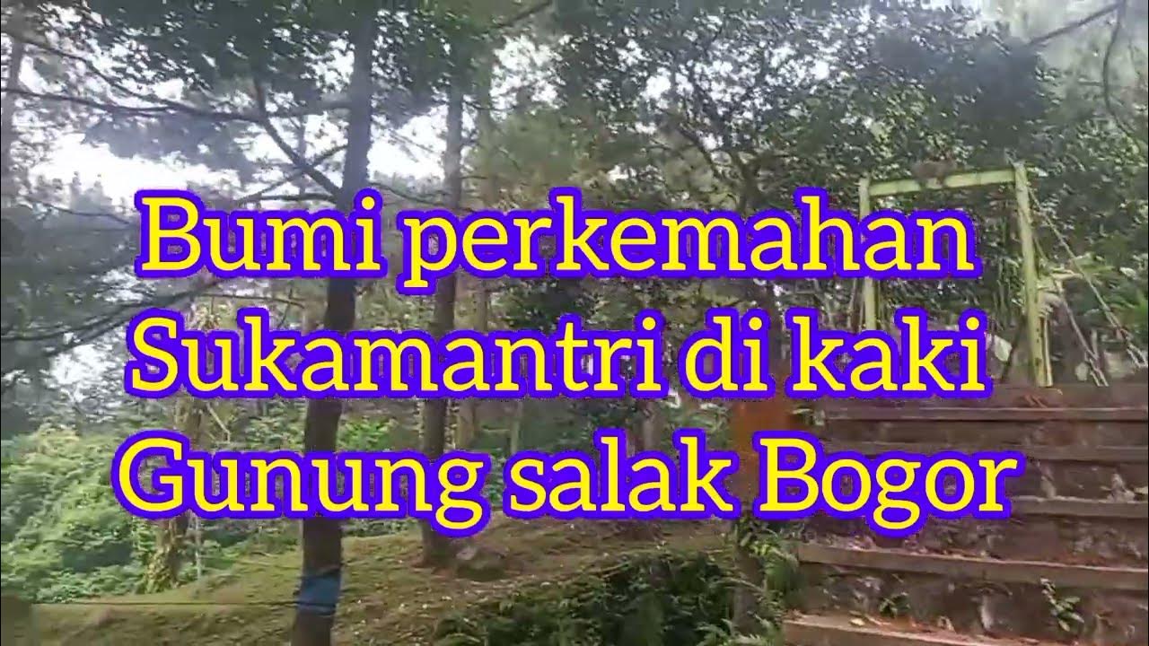 Bumi perkemahan sukamantri di kaki gunung salak Bogor #kempingceria #kempingkeluarga #kemping ...