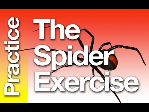 The Spider Exercise ( Mental and physical lesson for guitar or ukulele ...